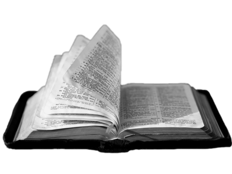 SJWellFire: Final Days Report - Bible-Related Current Events